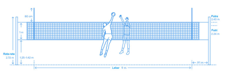 Ukuran Lapangan Bola Voli Standar Internasional - Pendidikan