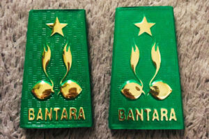 Arti Lambang Bantara - Pramuka Penegak - Pendidikan